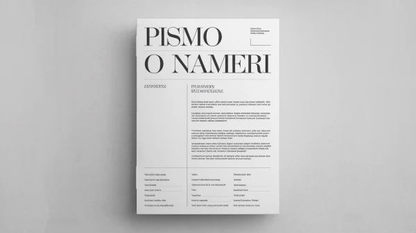 Vzorec pisma o nameri - Moj primer